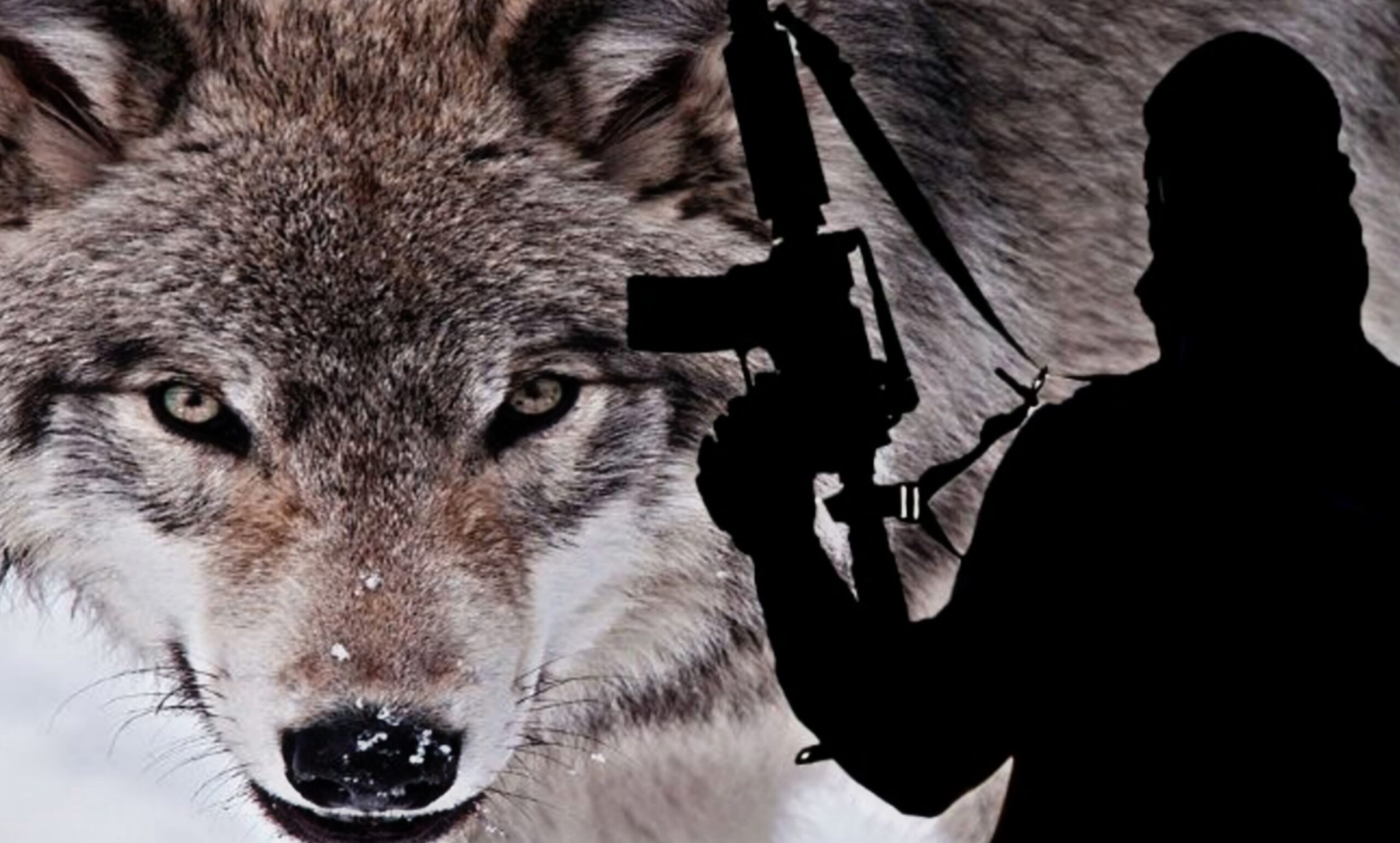 ඉන්දීය පාකිස්තාන තරඟයට පෙර Lone Wolf ප්‍රහාරයක් පිළිබඳ සැකයක්..